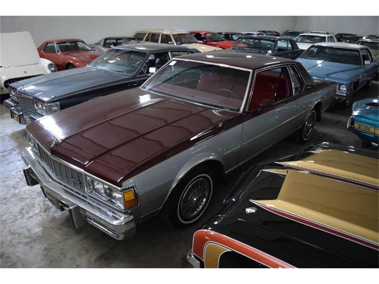1979 Chevrolet Caprice for Sale | ClassicCars.com | CC-1002447