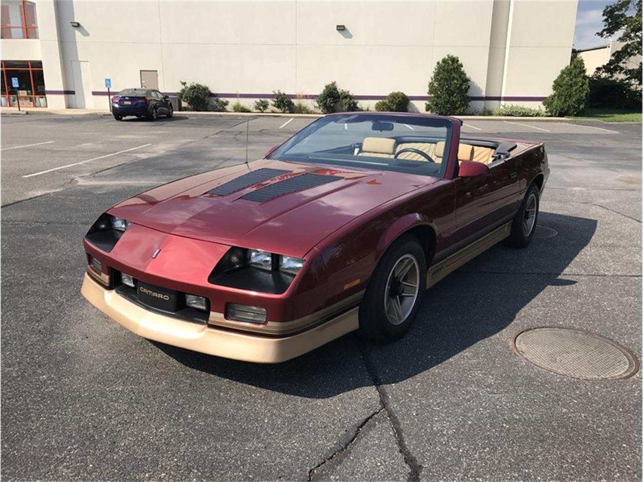 1987 Chevrolet Camaro Z28 for Sale | ClassicCars.com | CC-1012663