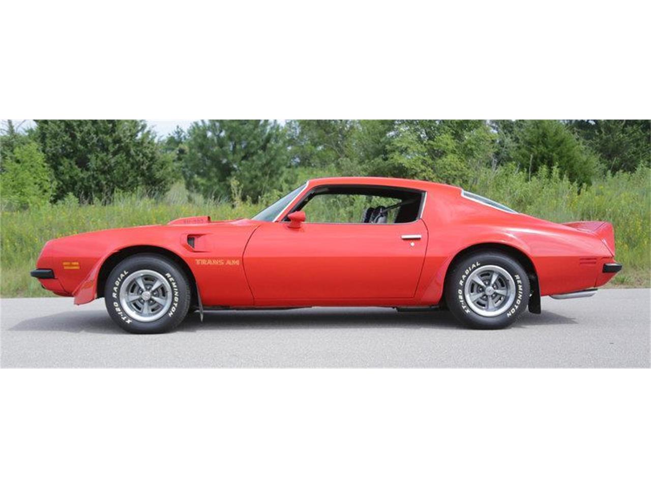 1974 Pontiac Firebird Trans Am for Sale | ClassicCars.com | CC-1023745