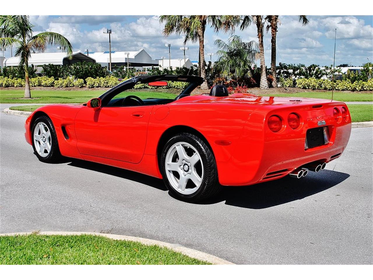 1999 Chevrolet Corvette for Sale | ClassicCars.com | CC-1031388