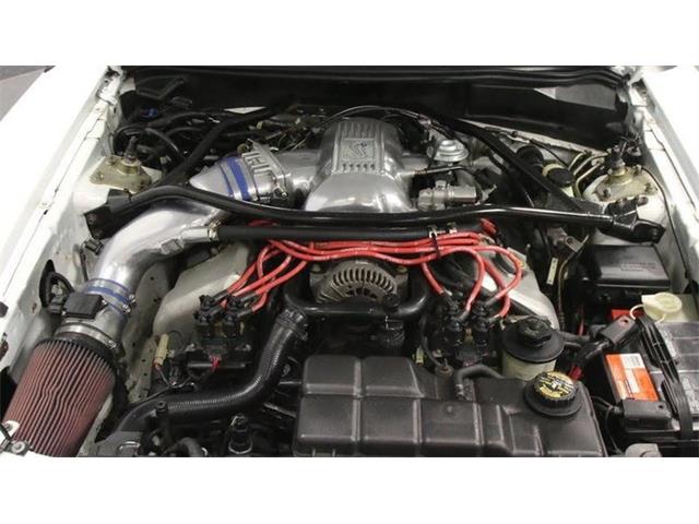 1995 Ford Mustang Cobra Prototype for Sale | ClassicCars.com | CC-1043558