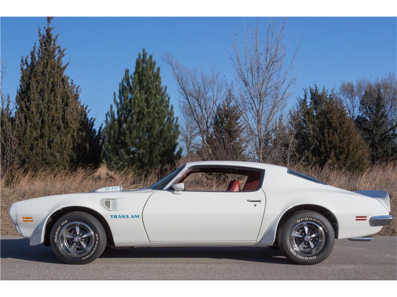 1973 Pontiac Firebird Trans Am for Sale | ClassicCars.com | CC-1054077