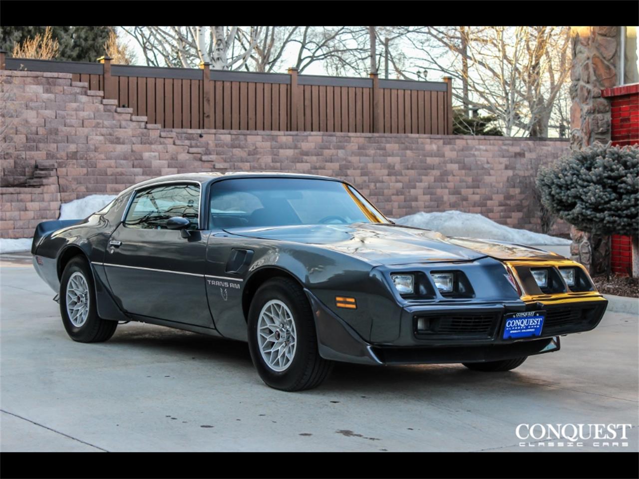 1981 Pontiac Firebird for Sale | ClassicCars.com | CC-1055841