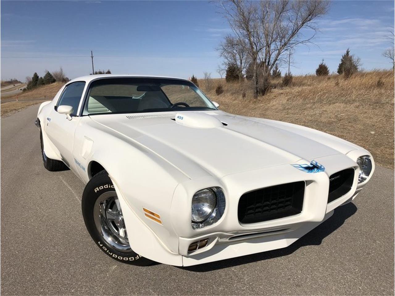 1973 Pontiac Firebird Trans Am for Sale | ClassicCars.com | CC-1075168