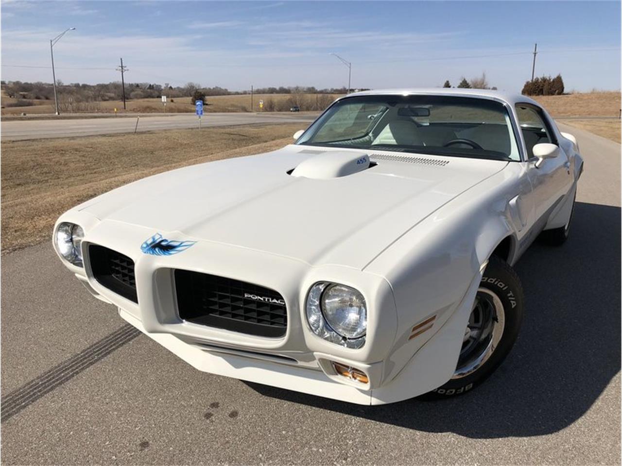 1973 Pontiac Firebird Trans Am for Sale | ClassicCars.com | CC-1075168