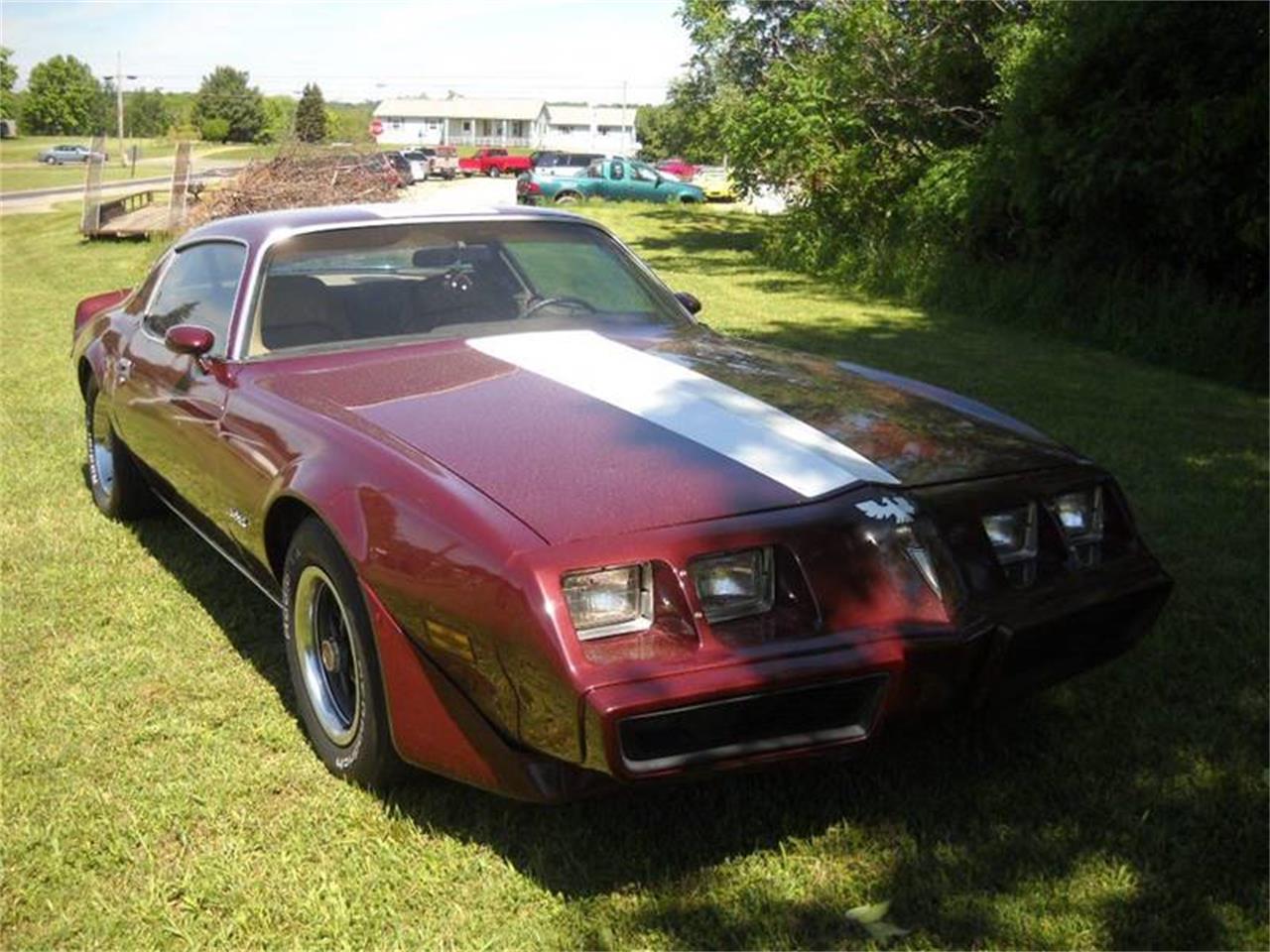 1981 Pontiac Firebird for Sale | ClassicCars.com | CC-1079728