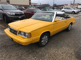 1986 Dodge 600 Series for Sale | ClassicCars.com | CC-1083218
