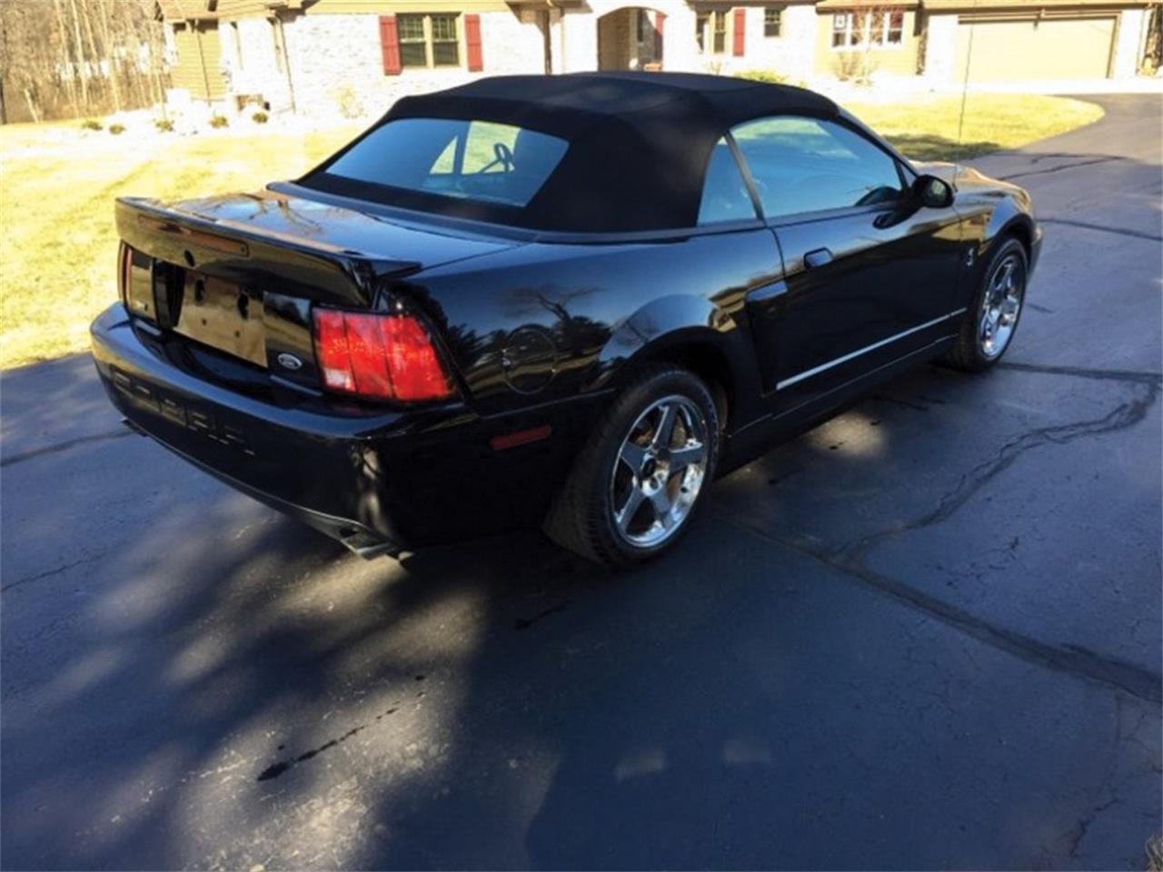2003 Ford SVT Mustang Cobra Convertible for Sale | ClassicCars.com | CC ...