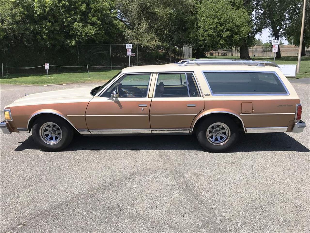 1979 Chevrolet Caprice for Sale | ClassicCars.com | CC-1095463