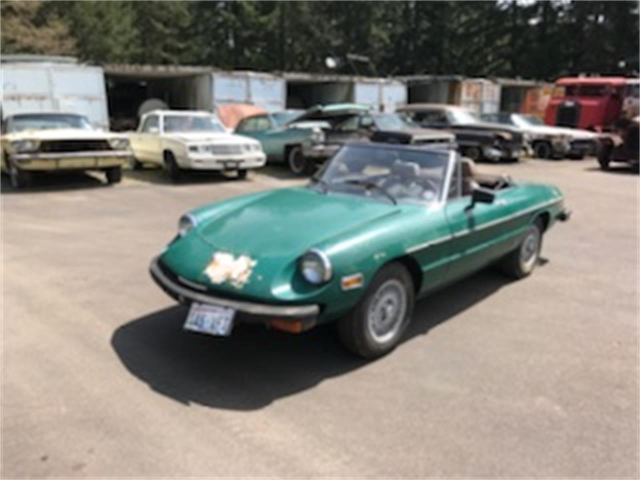 1979 Alfa Romeo Spider for Sale | ClassicCars.com | CC-1090686