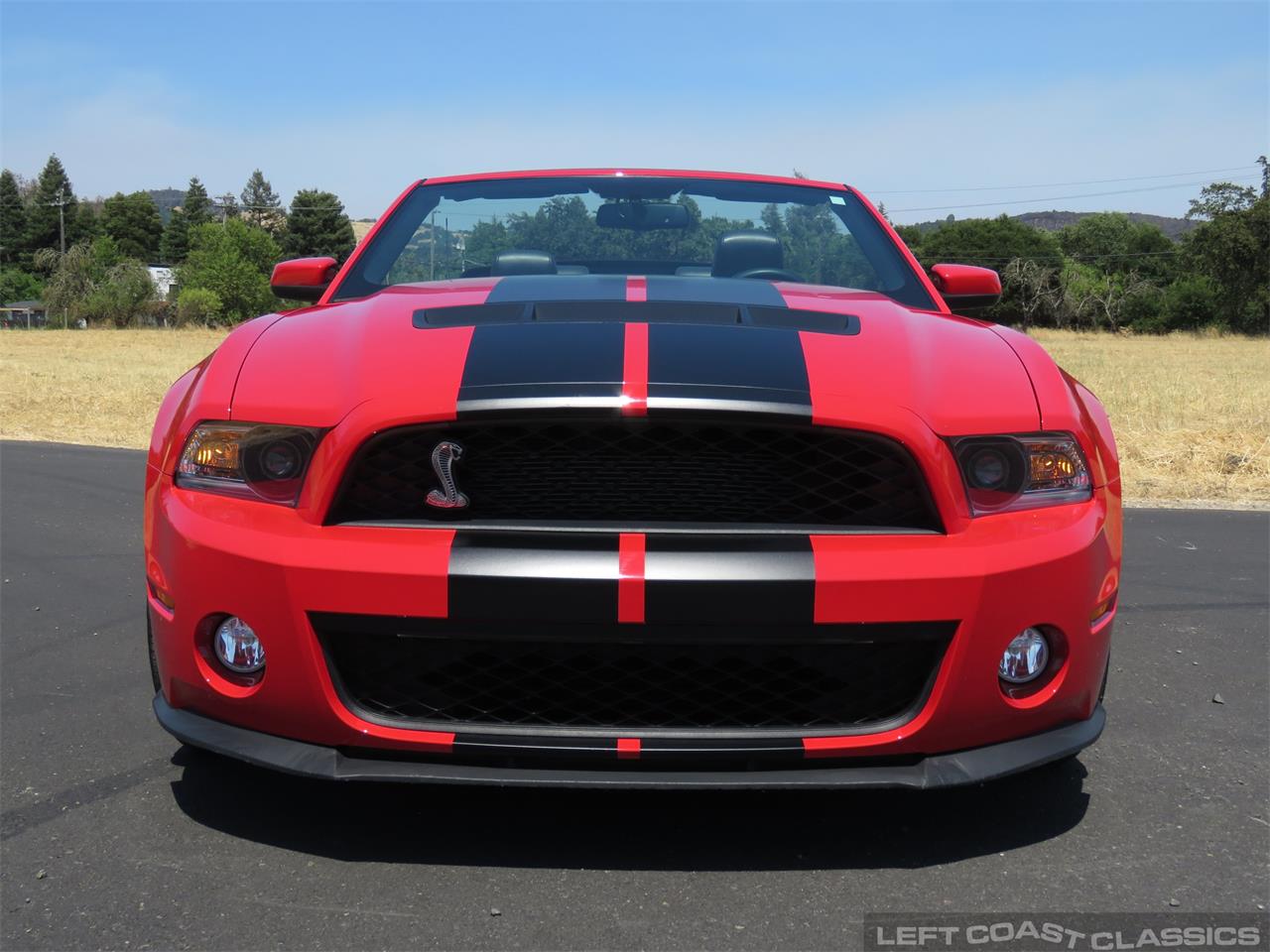 2010 Ford Shelby GT500 SVT for Sale | ClassicCars.com | CC-1109989