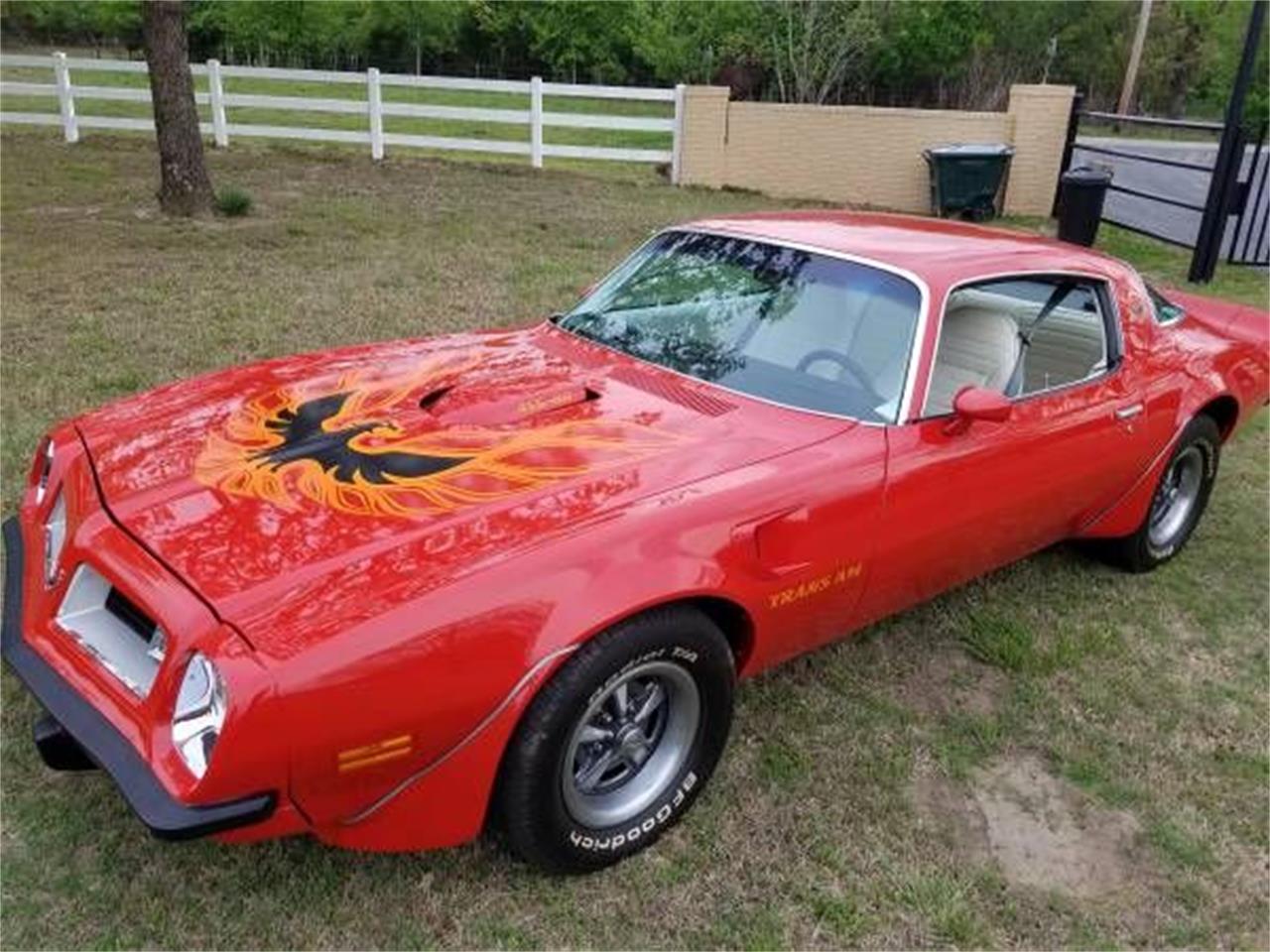 1975 Pontiac Firebird Trans Am for Sale | ClassicCars.com | CC-1119569