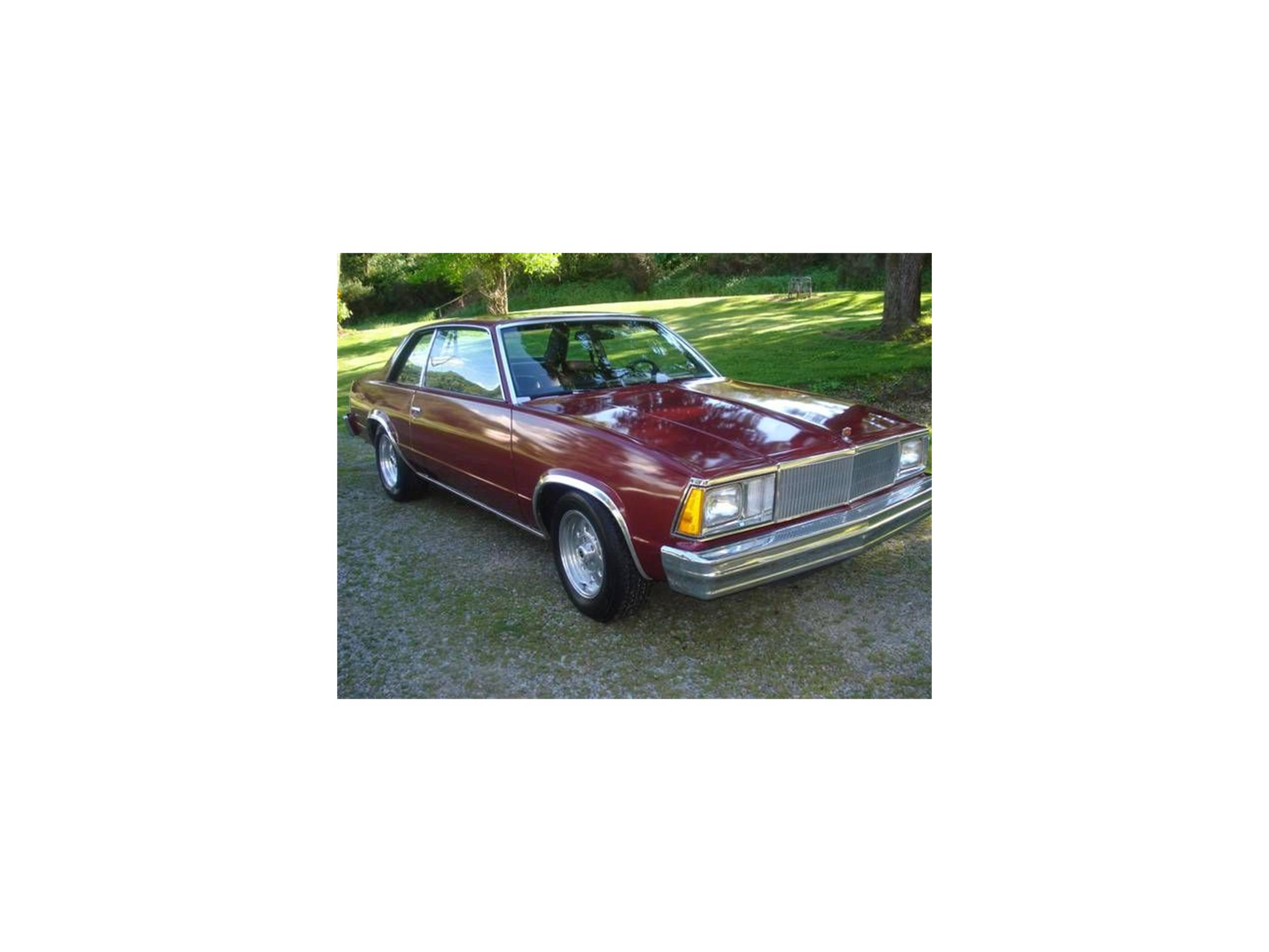 1980 Chevrolet Malibu for Sale | ClassicCars.com | CC-1124019