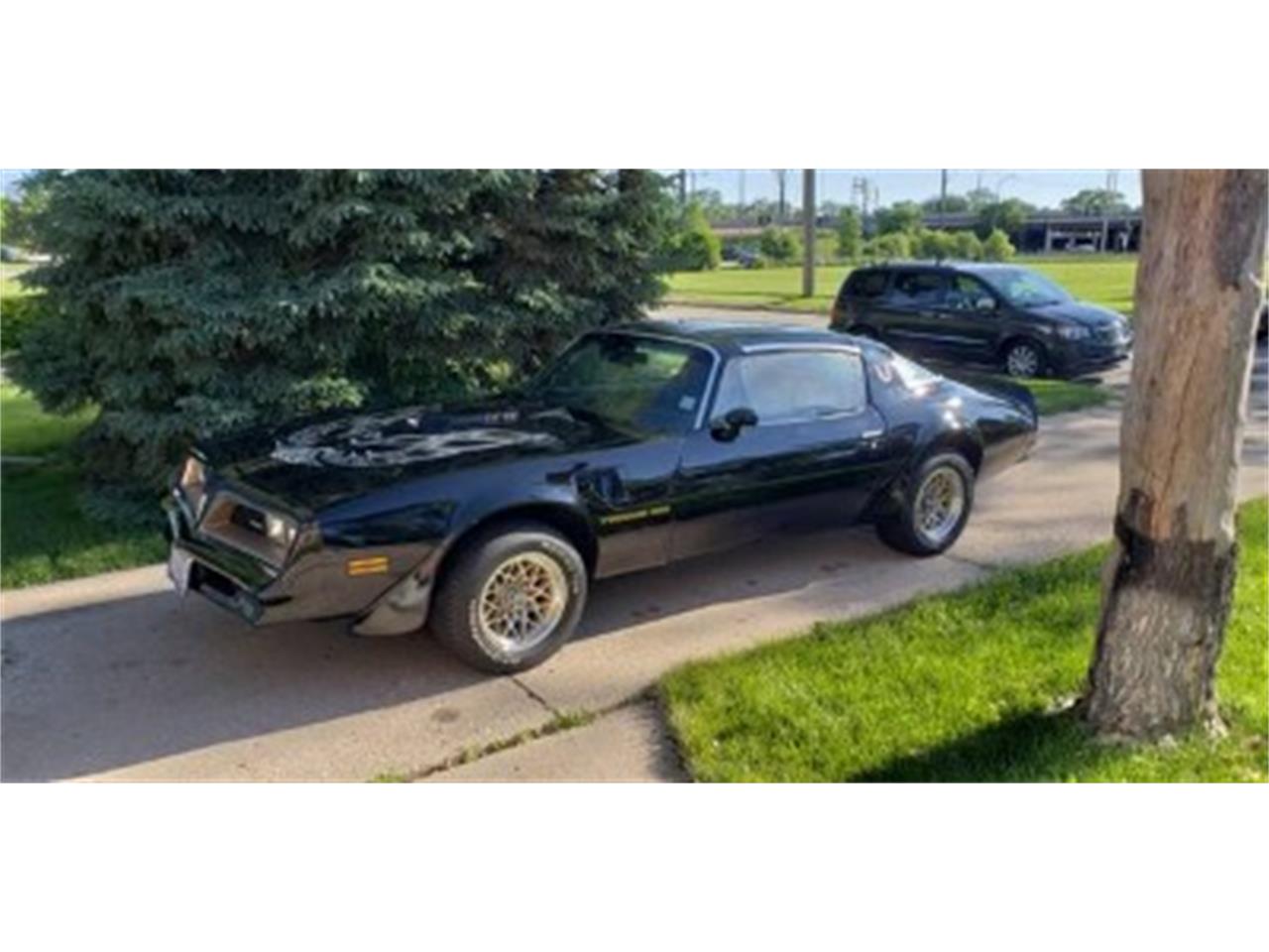 1978 Pontiac Firebird for Sale | ClassicCars.com | CC-1159537