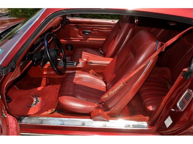 1976 Pontiac Firebird for Sale | ClassicCars.com | CC-1150960