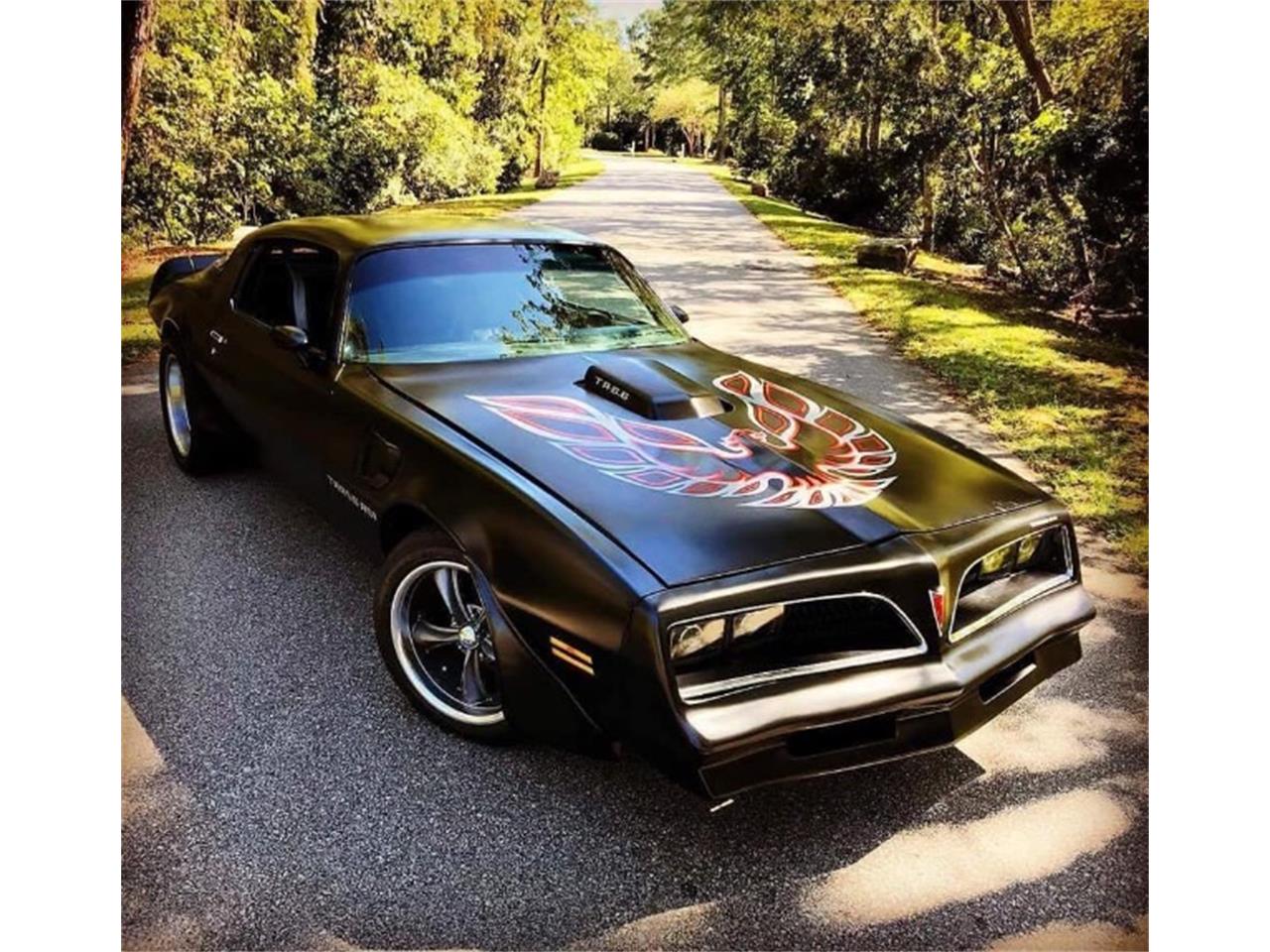 1978 Pontiac Firebird for Sale | ClassicCars.com | CC-1178038