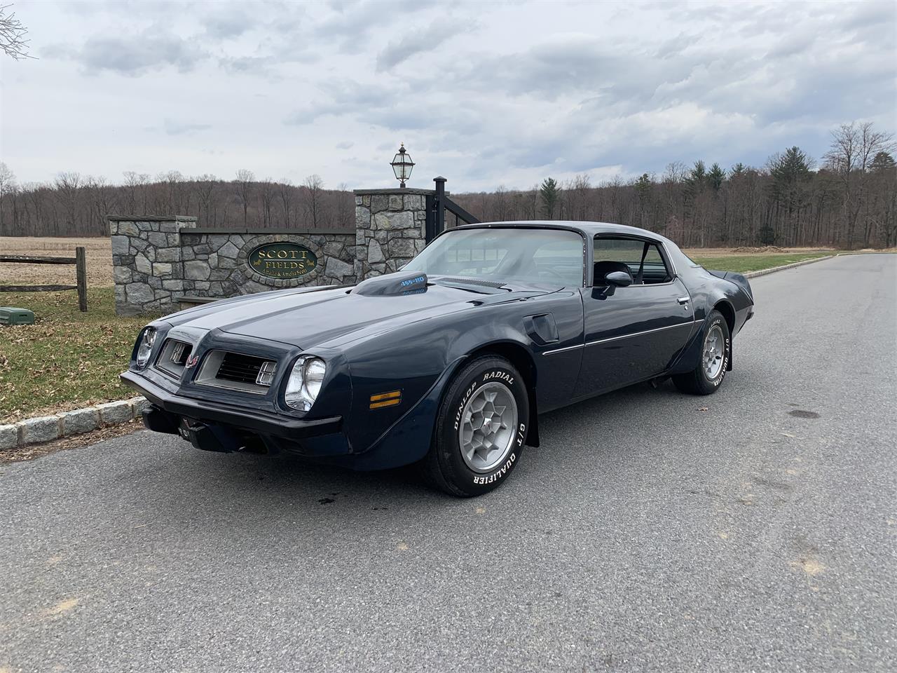 1975 Pontiac Firebird Trans Am for Sale | ClassicCars.com | CC-1212215