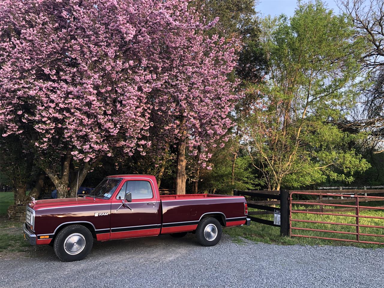 1982 Dodge Ram 1500 for Sale | ClassicCars.com | CC-1216582