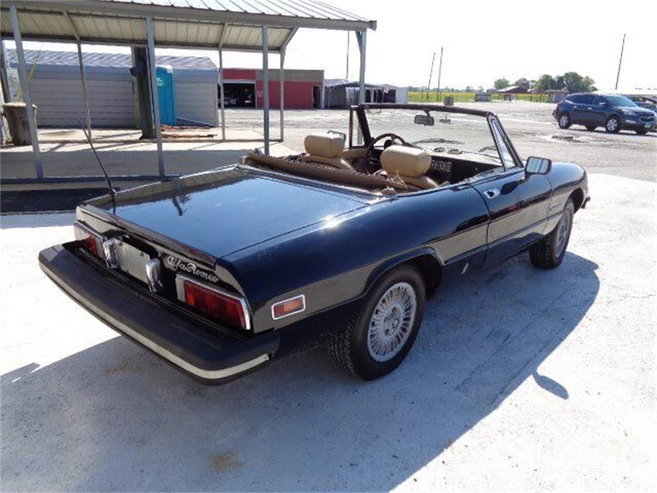 1979 Alfa Romeo Spider for Sale | ClassicCars.com | CC-1219649