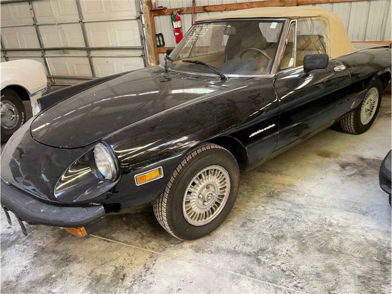 1979 Alfa Romeo Spider for Sale | ClassicCars.com | CC-1219649