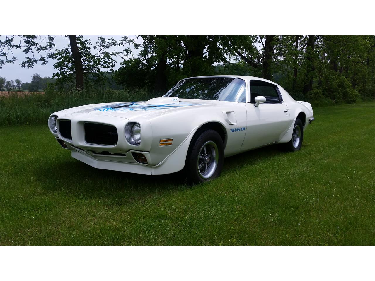 1973 Pontiac Firebird Trans Am for Sale | ClassicCars.com | CC-1223433