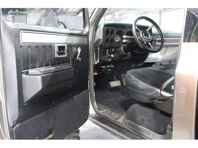 1981 Chevrolet C20 for Sale | ClassicCars.com | CC-1225531