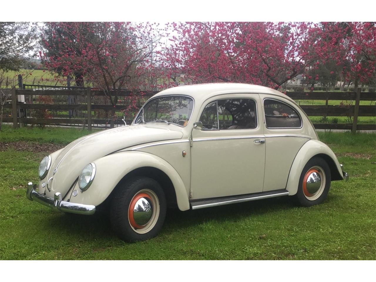 1954 Volkswagen Beetle for Sale | ClassicCars.com | CC-1228633