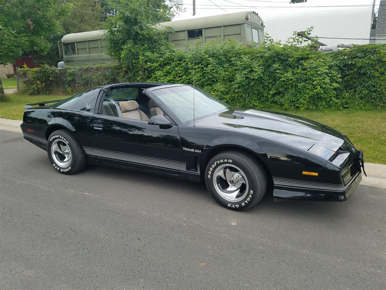 1984 Pontiac Firebird Trans Am for Sale | ClassicCars.com | CC-1242665