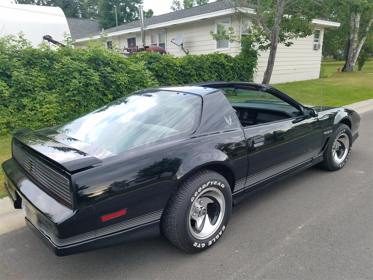 1984 Pontiac Firebird Trans Am for Sale | ClassicCars.com | CC-1242665
