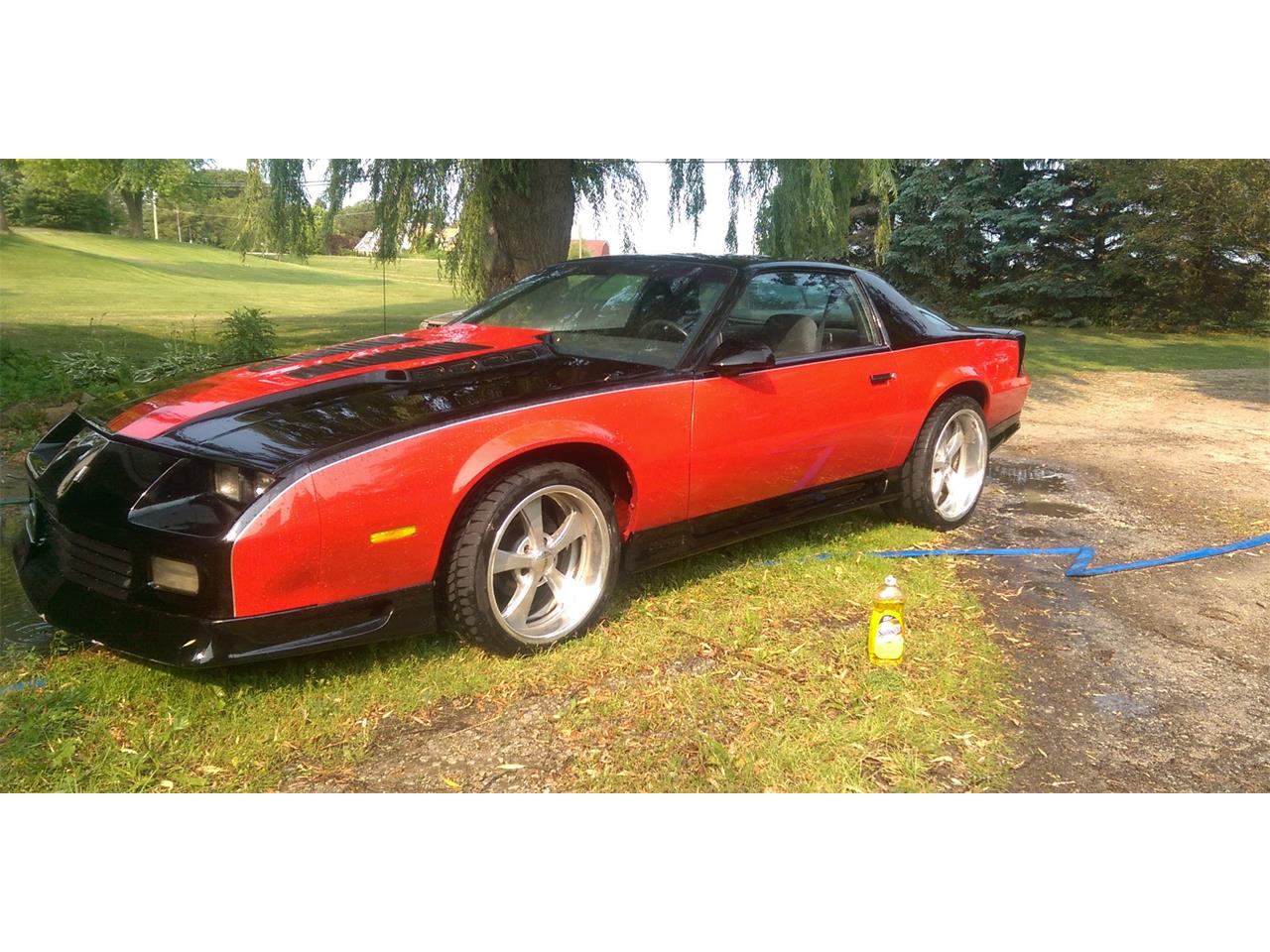1992 Chevrolet Camaro for Sale | ClassicCars.com | CC-1242898