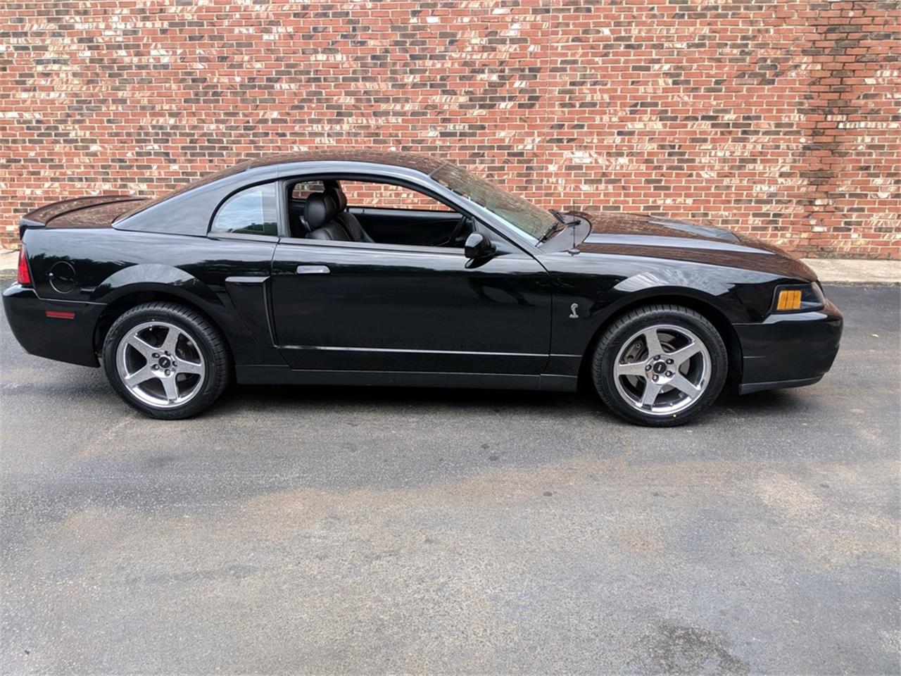 2004 Ford Mustang SVT Cobra for Sale | ClassicCars.com | CC-1244049