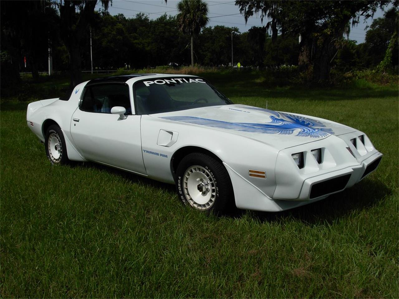 1981 Pontiac Firebird for Sale | ClassicCars.com | CC-1245397
