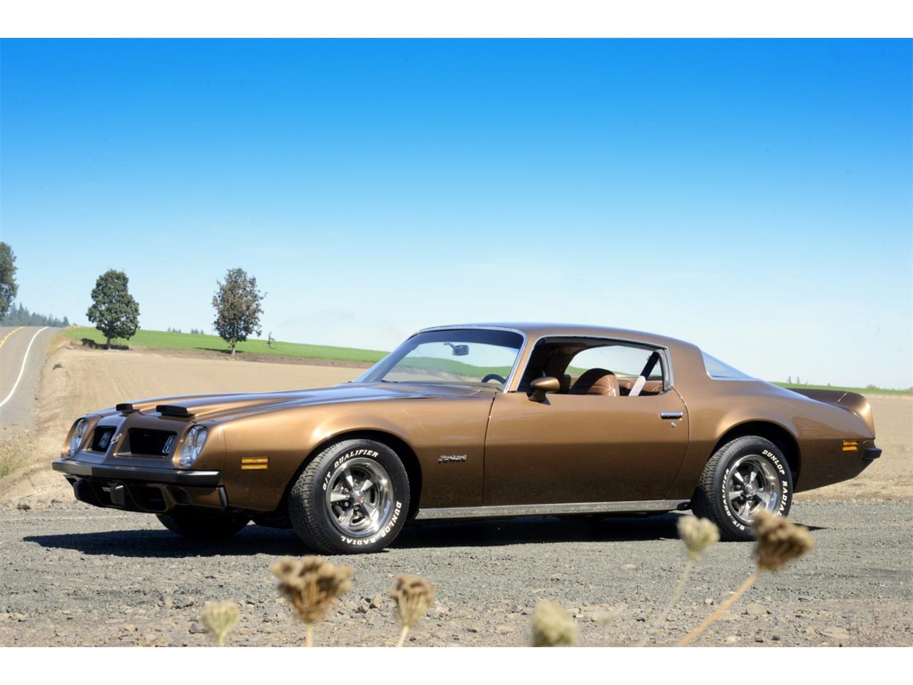 1975 Pontiac Firebird Front Bumper