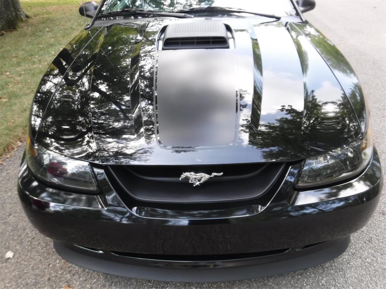 2003 Ford Mustang Mach 1 for Sale | ClassicCars.com | CC-1263043