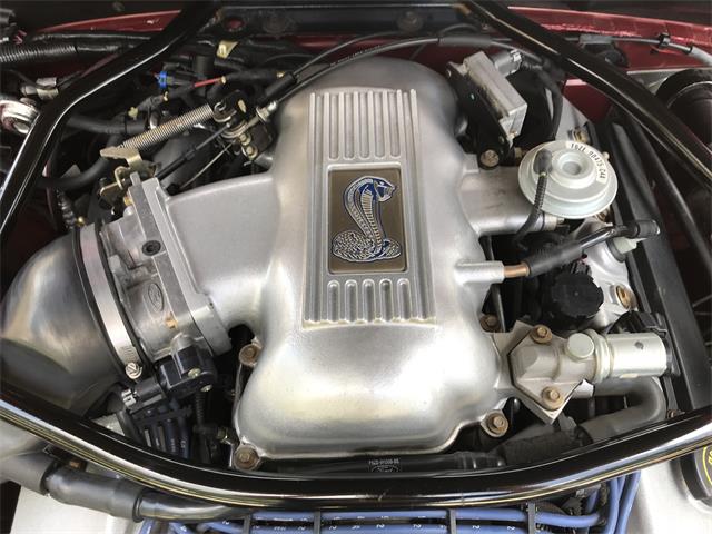 1996 Ford Mustang SVT Cobra for Sale | ClassicCars.com | CC-1264592