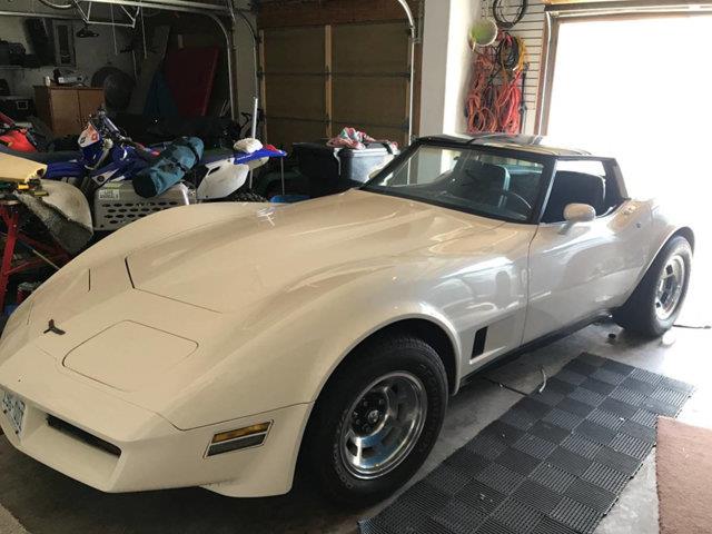 1981 Chevrolet Corvette for Sale | ClassicCars.com | CC-1269073