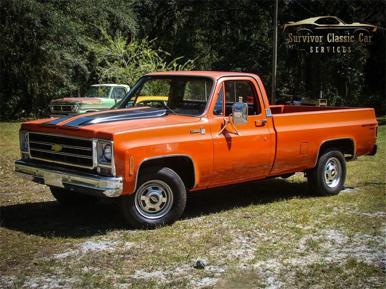 1979 Chevrolet C20 for Sale | ClassicCars.com | CC-1299241