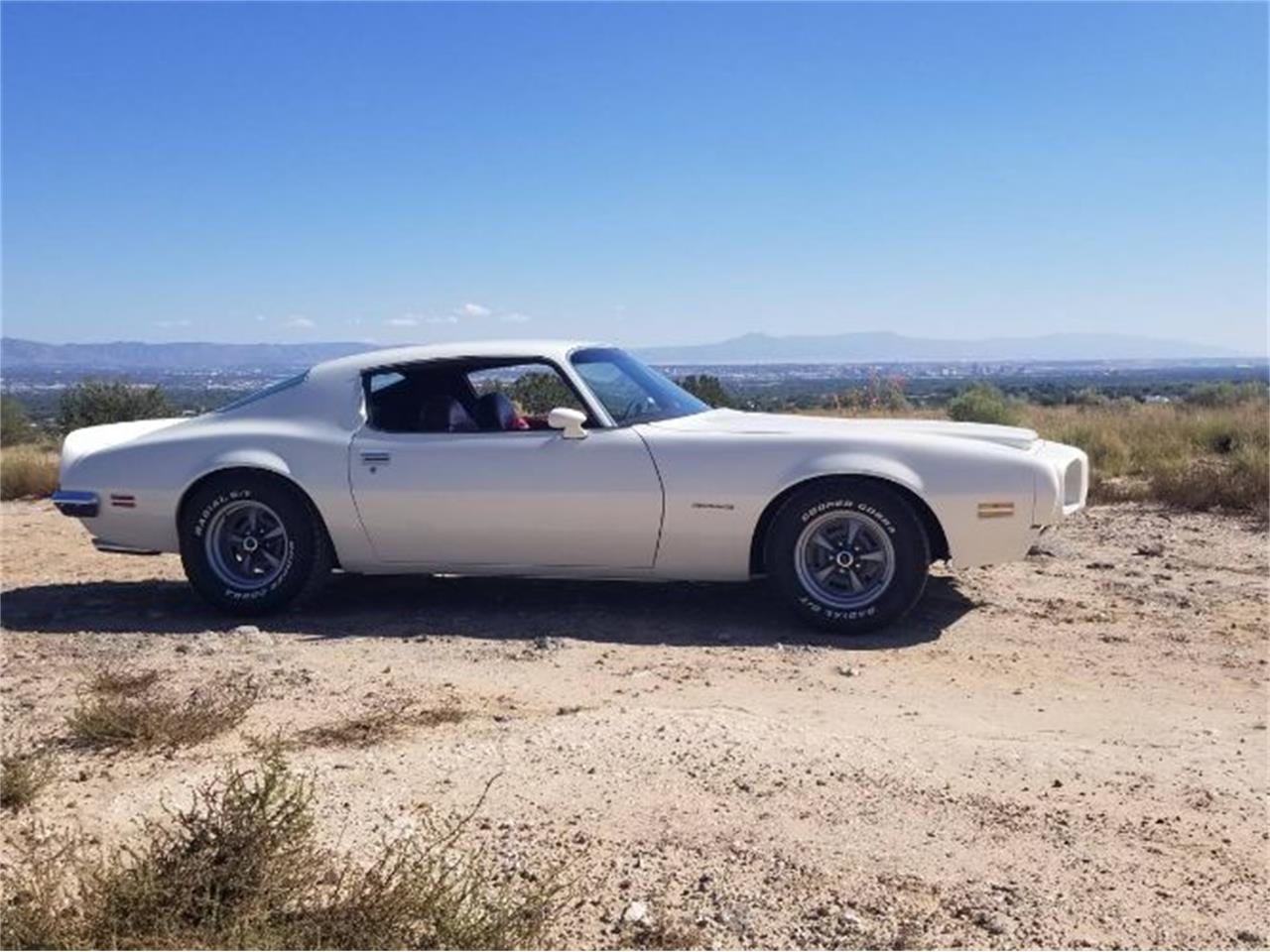 1973 Pontiac Firebird for Sale | ClassicCars.com | CC-1314665
