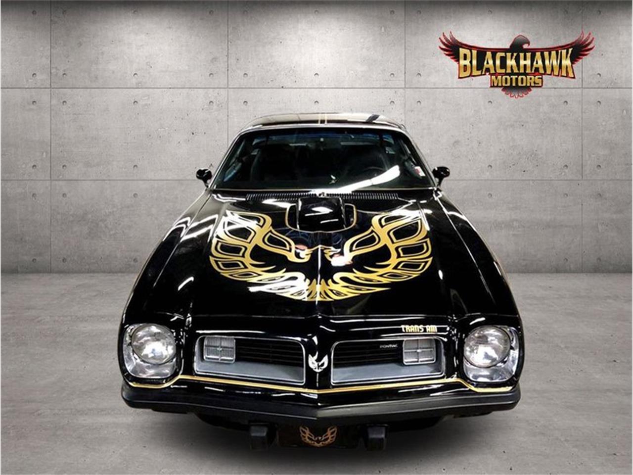 1975 Pontiac Firebird Trans Am for Sale | ClassicCars.com | CC-1319815