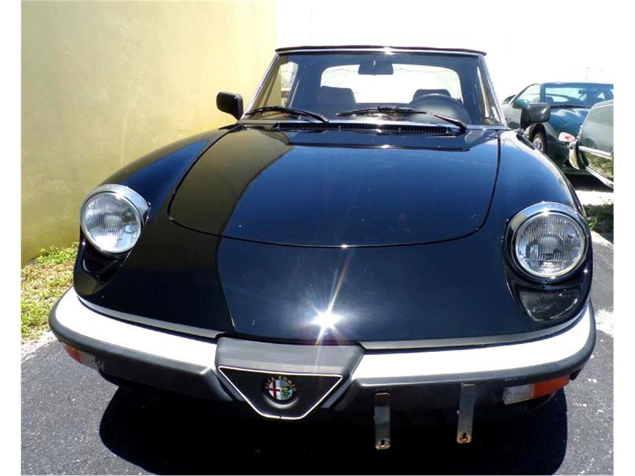 1990 Alfa Romeo Spider for Sale | ClassicCars.com | CC-1355173