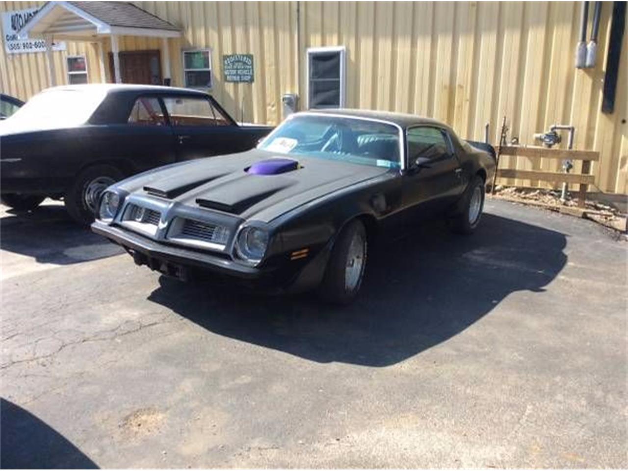 1975 Pontiac Firebird Trans Am for Sale | ClassicCars.com | CC-1376069