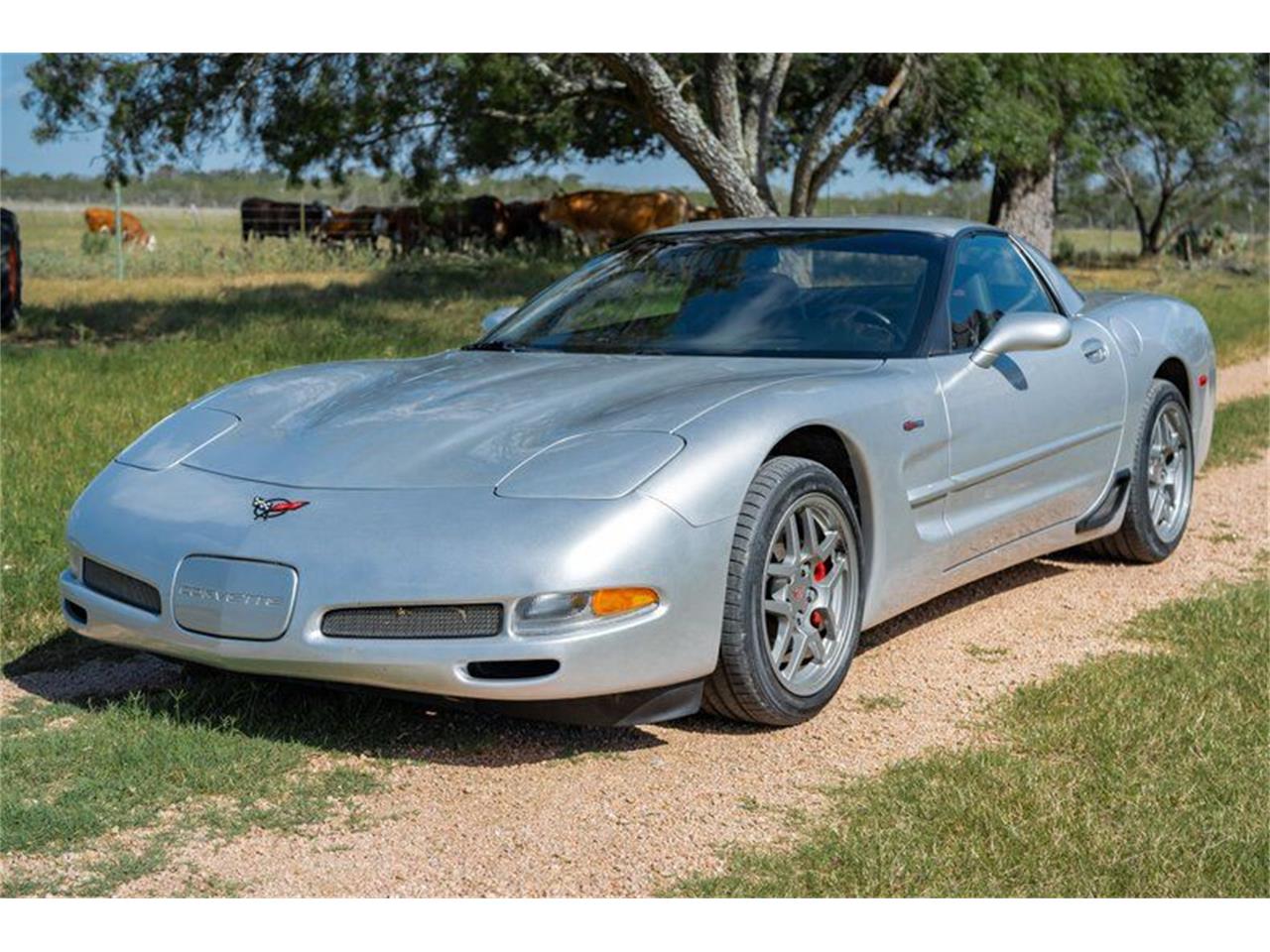 2002 Chevrolet Corvette for Sale | ClassicCars.com | CC-1563209