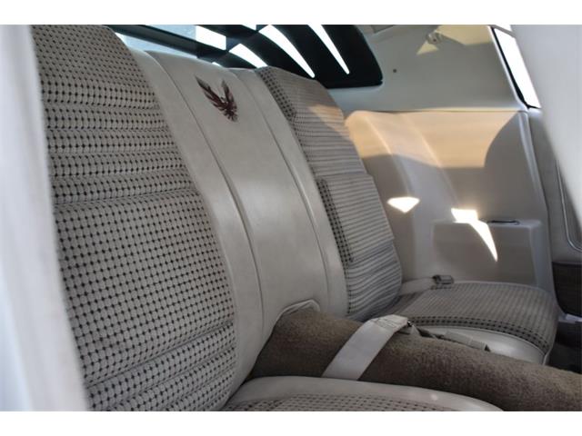 1980 Pontiac Firebird Trans Am for Sale | ClassicCars.com | CC-1563820