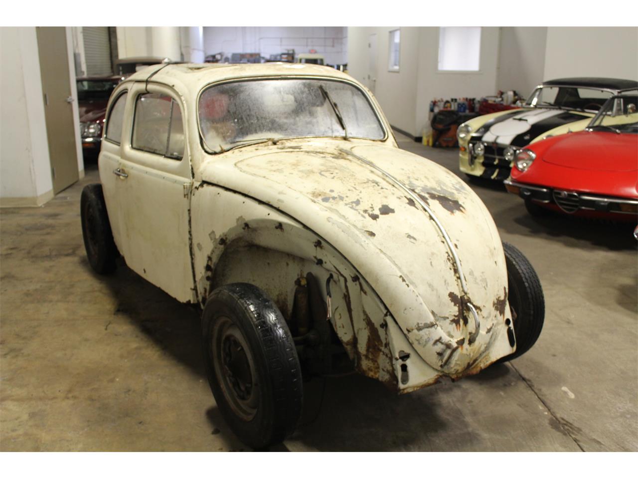 1961 Volkswagen Beetle for Sale | ClassicCars.com | CC-1563868