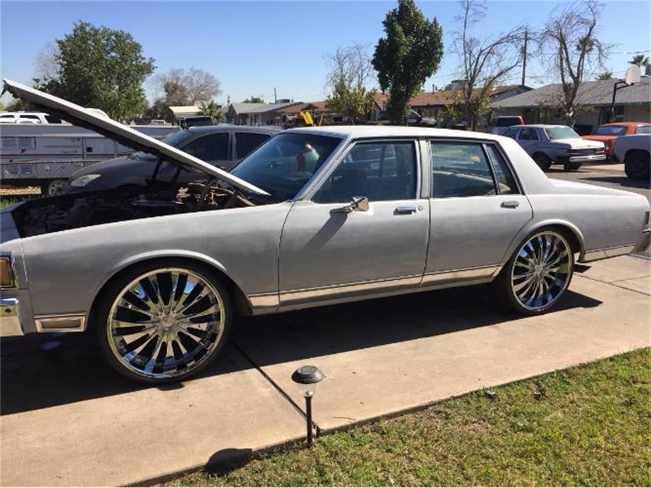 1983 Chevrolet Caprice for Sale | ClassicCars.com | CC-1565911