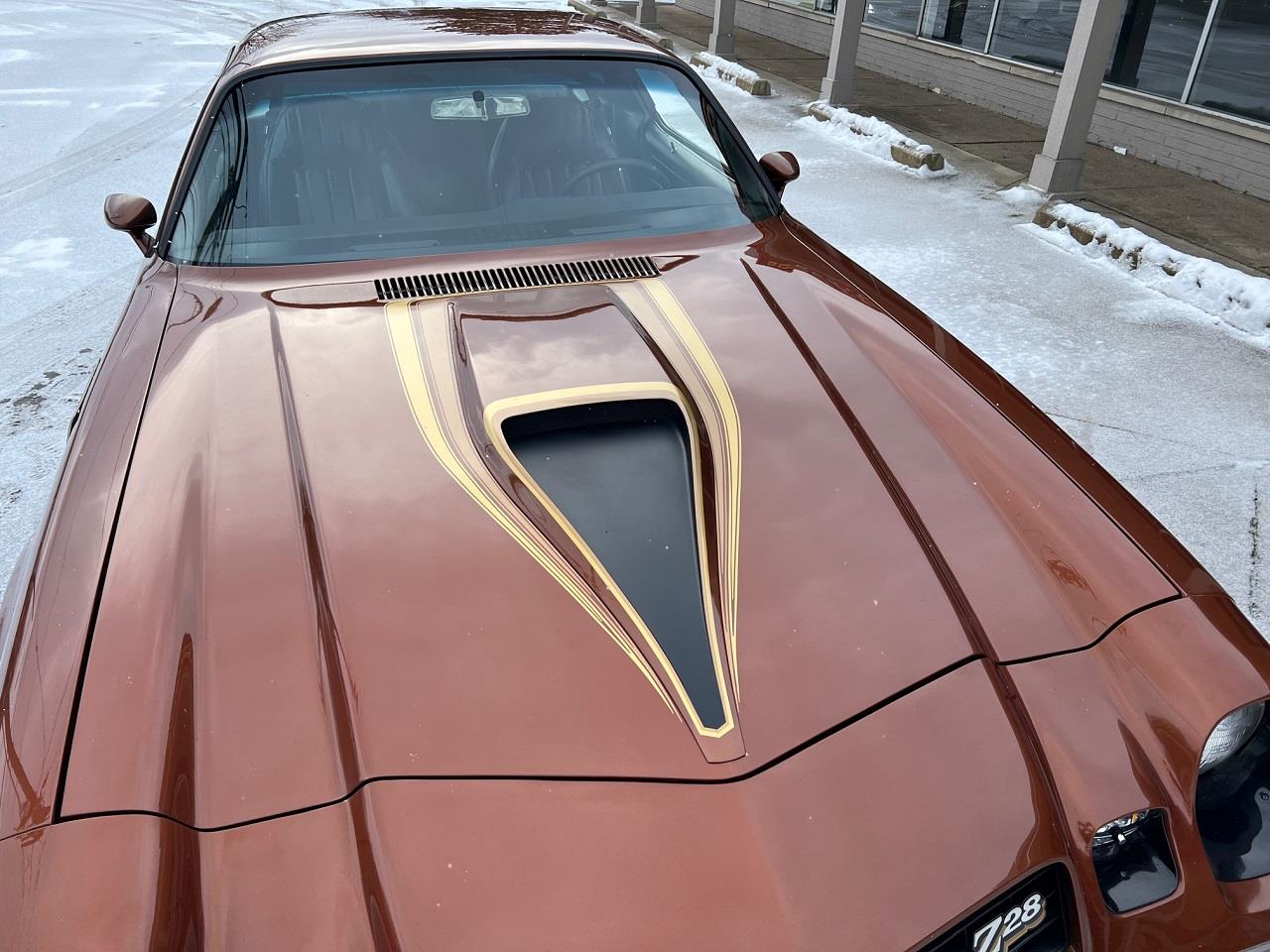 1978 Camaro Z28 Hood
