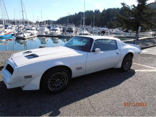 1977 Pontiac Firebird Formula for Sale | ClassicCars.com | CC-1569499