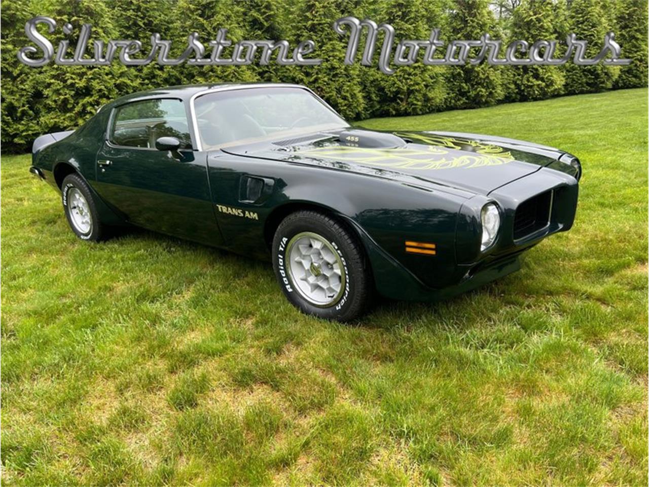 1973 Pontiac Firebird for Sale | ClassicCars.com | CC-1602738