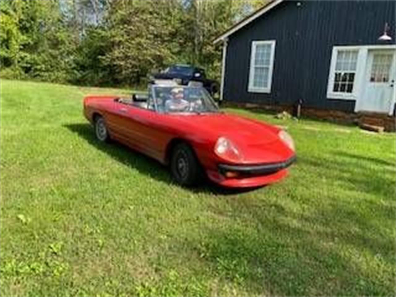 1976 Alfa Romeo Spider for Sale | ClassicCars.com | CC-1607258