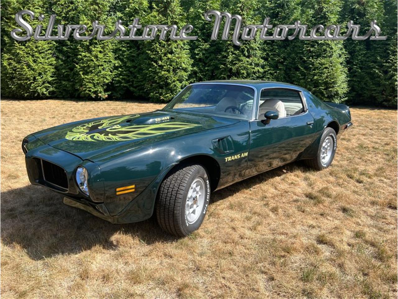 1973 Pontiac Firebird Trans Am for Sale | ClassicCars.com | CC-1623304